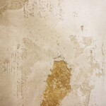Golmex | Meoded Paint and Plaster