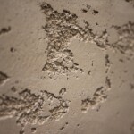 Golmex | Meoded Paint and Plaster