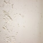 Golmex | Meoded Paint and Plaster