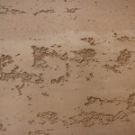 Golmex | Meoded Paint and Plaster